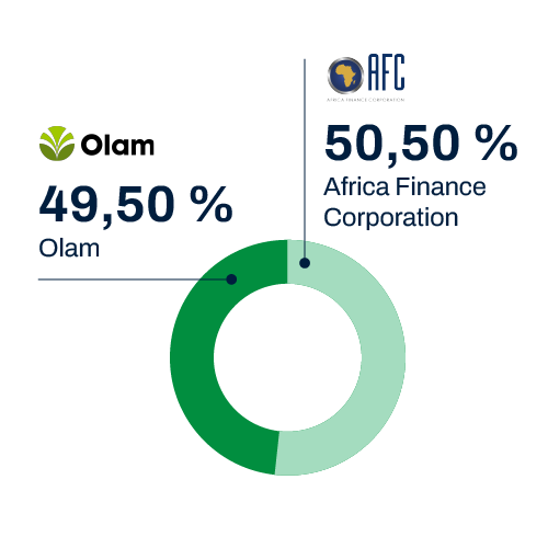 Discover the organisational structure of Arise IIP in Africa