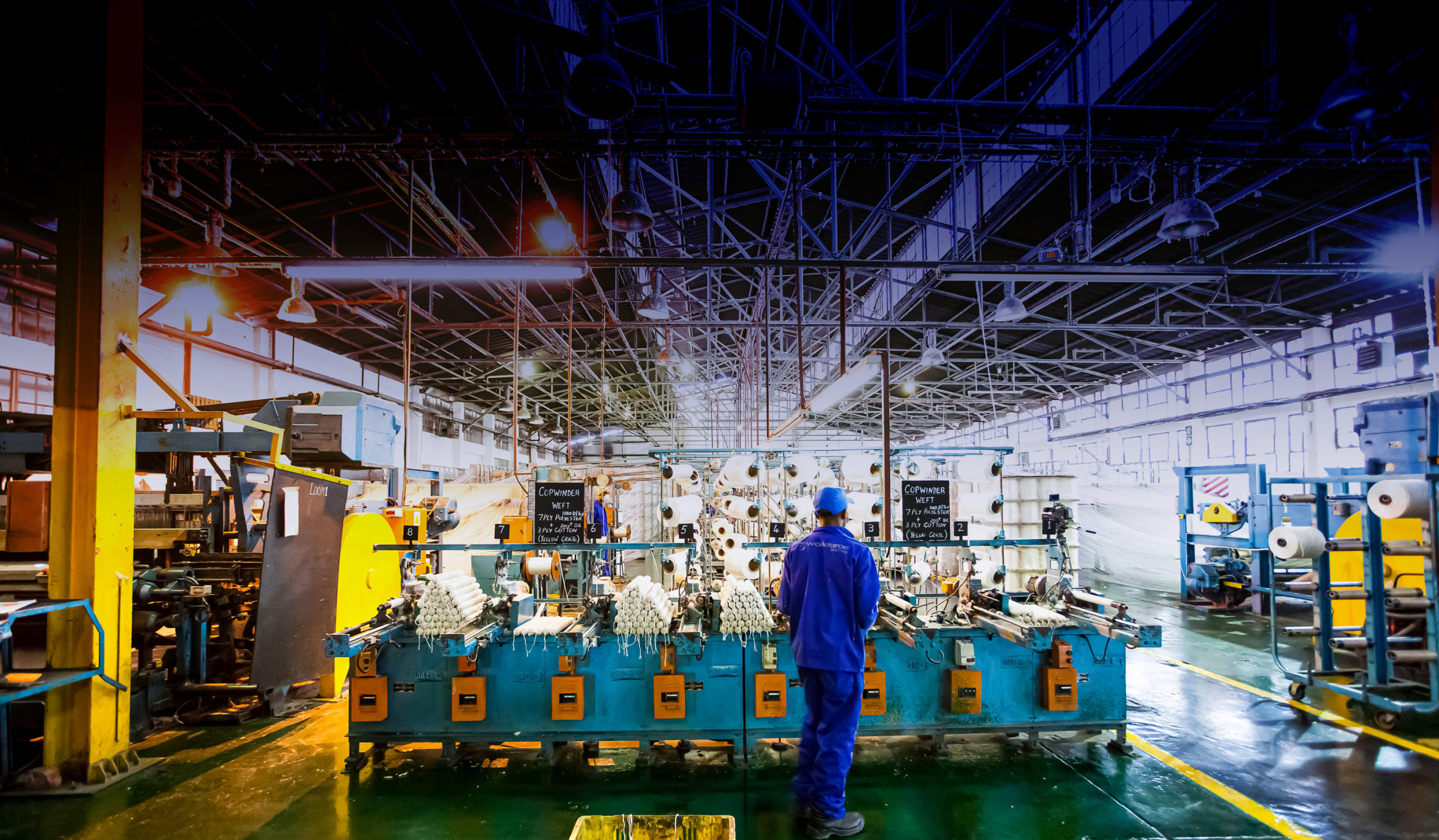 About Arise Integrated Industrial Platforms (Arise IIP)