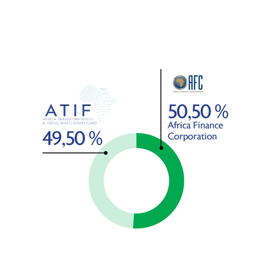 Discover the organisational structure of Arise IIP in Africa