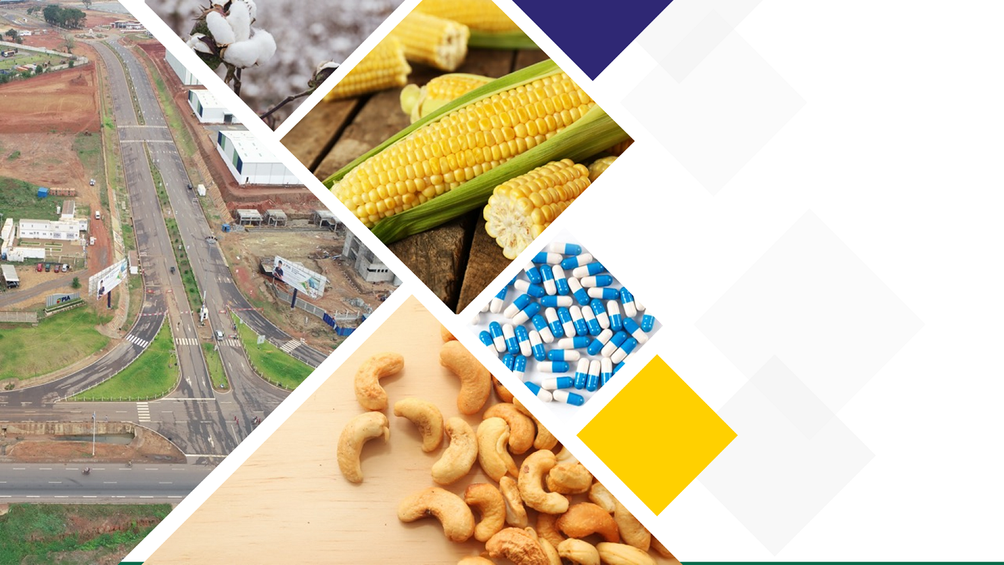 Togo Farming Togo – River Zio 2023 : Agroforestry And Forestry In