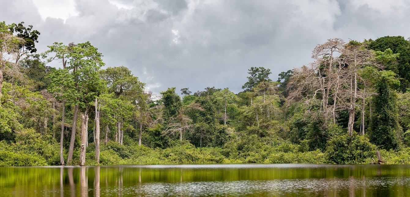 5 Reasons Why You Should Invest In Gabon Now - Arise IIP